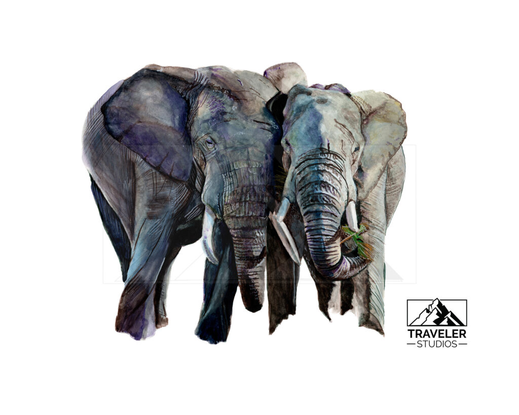 African Elephant Prints – Traveler Studios